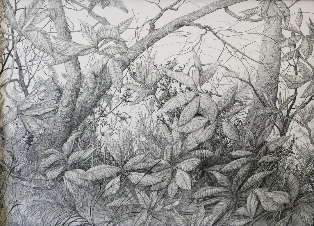 Charles Bowers Title: Forest Floor | Crossroads Art Center