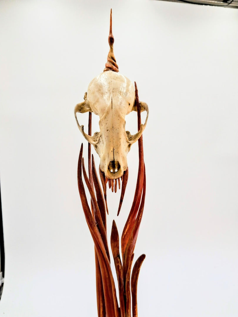 Shepard, Frank Title: Awesome Opossum | Crossroads Art Center