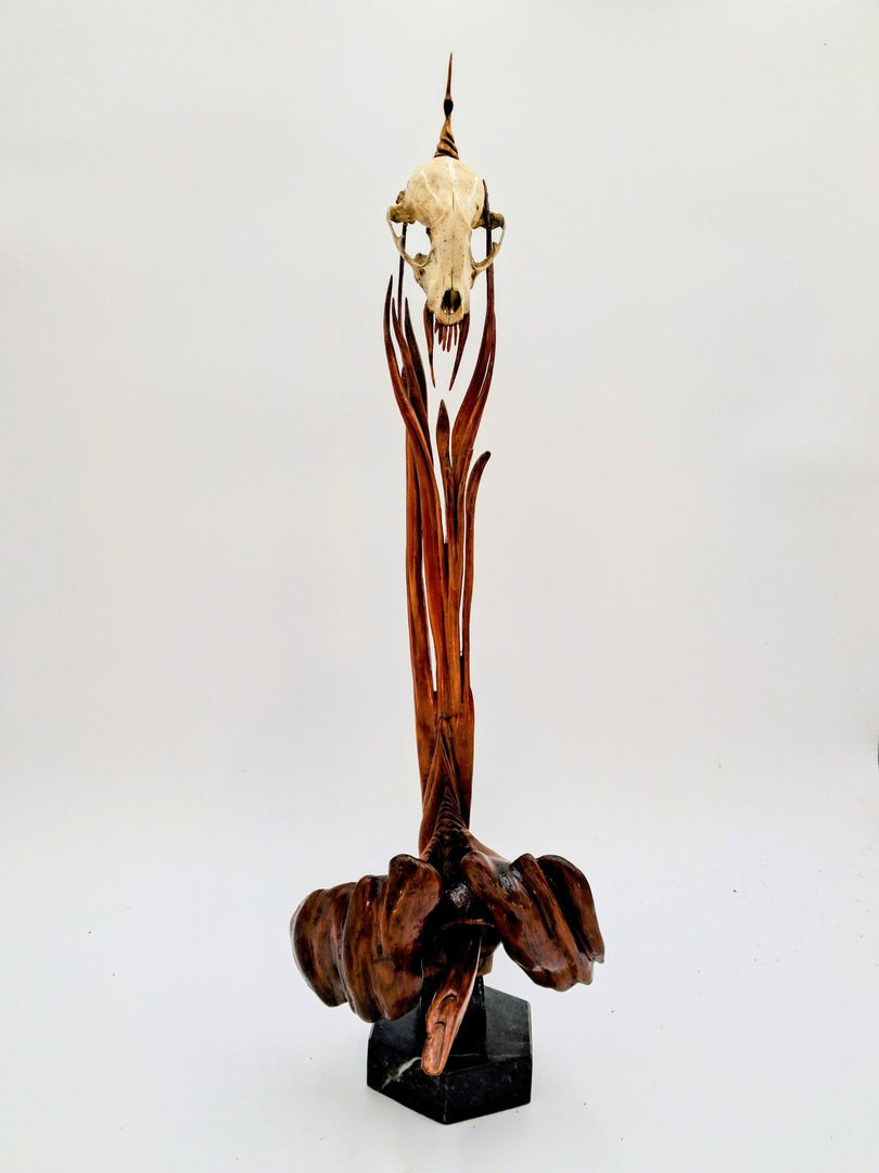 Shepard, Frank Title: Awesome Opossum | Crossroads Art Center