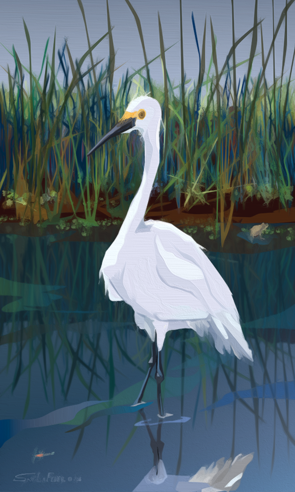Sam LaFever Title: Snowy Egret | Crossroads Art Center